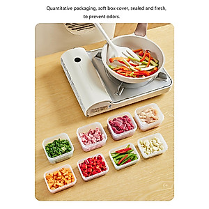 RabyLeo Japanese-style refrigerator storage box one person eats frozen meat sub-compartment box frozen fresh-keeping food sauce sealed sub-package box. (Transparent & Small 4-Piece Set)