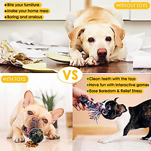 Aipper Dog Puppy Toys 23 Pack, Puppy Chew Toys for Fun and Teeth Cleaning, Dog Squeak Toys,Treat Dispenser Ball, Tug of War Toys, Puppy Teething Toys, Dog Rope Toys Pack for Puppy to Small Dogs