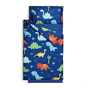 Cokouchyi Toddler Nap mat, Toddler Sleeping Bag with Carrying Bag and Removable Pillow, Measures 53 x 21 x 1.5 Inches, Dinosaur Kids Sleeping Bag, Ideal for Daycare and Preschool, Blue