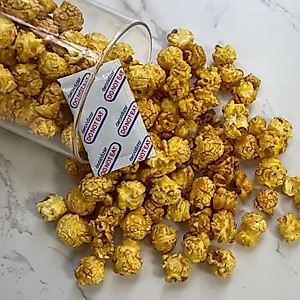 400cc X 100 count Oxygen Absorbers - 10 packs individually vacuumed and sealed in 10 Food grade packets For Long Term Food Storage.