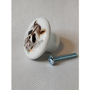 Watercolor Spring Baby Animals by DC DECORATIVE Ceramic Dresser Drawer PULLS Cabinet Cupboard KNOBS (0017 Raccoon)