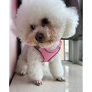 Solmoony Dog Harness for Small Medium Large Dogs No Pull, Puppy Harness and Leash Set, Puppy Harness for Small Dogs, Step in Harness for Small Dogs, Small Dog Harness, mesh Dog Harness. (Pink, XS)