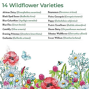 Colorado Wildflower Seed Mix, Covers 325 Sq Ft, 14 Flower Varieties, Over 53,000 Seeds - Created By Nature