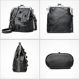 Vintage Kiss Lock Shoulder Bag With Tassel, Leather Flowers Rivets Chain Handle Handbag, Retro Messenger Crossbady Satchel for Women