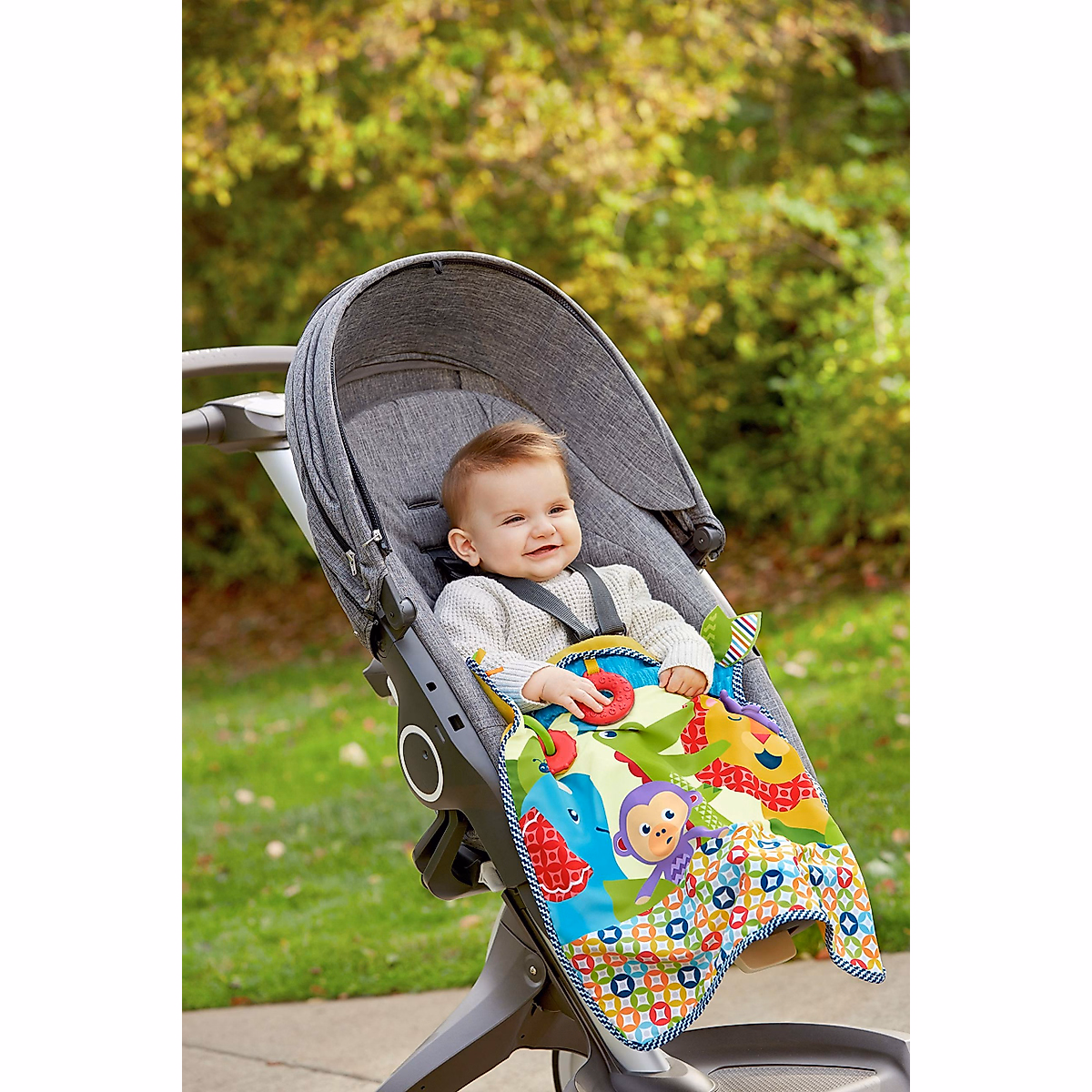 Fisher-Price On-the-Go Activity Throw