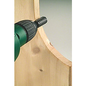 Bosch 2609255301 48mm Wood Rasps for Free-Hand Routing with Diameter 16mm