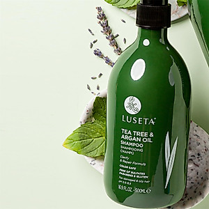 Luseta Tea Tree Shampoo with Argan Oil 16.9 Fl oz- Clarifying,Hydrating and Fighting Dandruff and Itchy Scalp - For Damaged and Oil Hair - Sulfate and Paraben Free for Men and Women