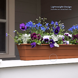 Bloem Dura Cotta Window Box Planter: 30" - Terra Cotta - Large Box with Tray, Weatherproof Resin Box, Removable Tray for Indoor & Outdoor Use, Gardening, 4 Gallon Capacity