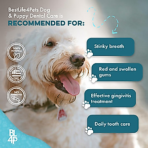Dog Bad Breath Treatment & Dog Dental Care Solution - Natural Supplement for Canine Oral Health - Dog Tooth Pain Relief, Plaque Control, Gum Disease, Gingivitis - 400 Odorless, Tasteless Pills