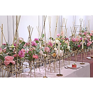 50 Pack 15.8 inch Bamboo Plant Stakes,Plant Sticks Support,Floral Plant Support Wooden,Indoor Gardening Plant Supports,Wooden Sign Posting Garden Sticks,with 4" Wires (100 pcs)