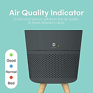 IMUNSEN M-002B Air Purifier with Cypress Wood Filter, H13 True HEPA Filter, 100% Ozone Free, Auto Sleep Mode, Filters allergens, Pollen, Smoke, Perfect for Office and Bedroom, Made in Korea - Black