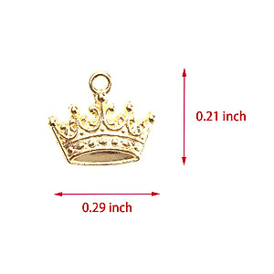 Ruwado 30 Pcs Tiara Charm Mini Metal Vintage Cute Jewelry Pendant for DIY Making Necklace Bracelet Necklace Jewelry Making Crafting Accessories Earring Zippers (Gold)