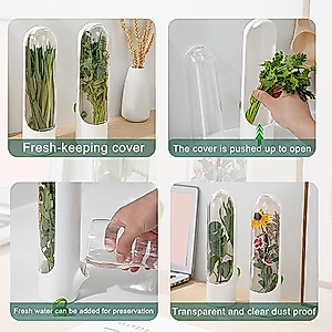 2pcs Fresh Herb Keeper, Herb Saver, Herb Keeper for Refrigerator, Herb Storage Container Keeps Greens Fresh Herb Saver Asparagus ​Keeper Practical Kitchen Tools for Cilantro(2 pcs)