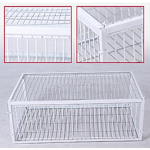 Andowns Big Foldable Galvanised Pigeon Dove Bird Trap Cage Feral Pigeon Humane Way with The one-Way Entrance Trapping Pigeons Doves in Cages 1 (40x30x26cm / 17x13x10inch 4 Entrances)