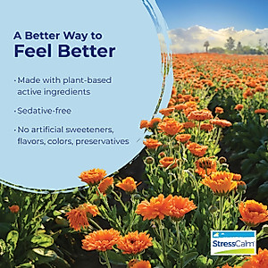 Boiron StressCalm Tablets for Relief of Stress, Anxiousness, Nervousness, Irritability, and Fatigue - 120 Count (2 Pack of 60)