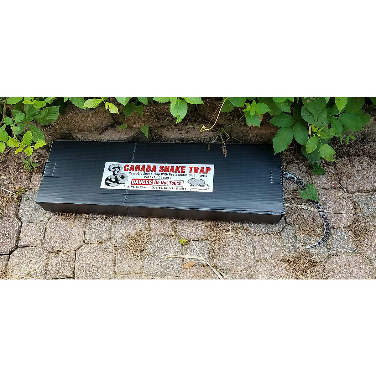 Snake Trap Large, (Foldable, Reusable 32"x10"x 3") with (1) Catch Insert, Commercial Grade, Made of Strong Corrugated Plastic in Alabama, USA