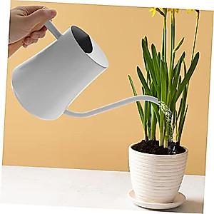 BUTIFULSIC Watering Kettle Flower Watering Bottle Garden Watering Bucket Sprinkling cans Flower Watering can Plant Mister Watering Spray Bottle Succulent Tools Stainless Steel White Indoor