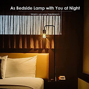 BoostArea Floor lamp,Industrial Floor Lamp,Standing Lamp with 6W LED Bulb,E26 Socket,On/Off Footswitch,Whole Metal,Modern Floor Lamp for Bedroom,Office, Living Room,Rustic,Vintage,Farmhouse