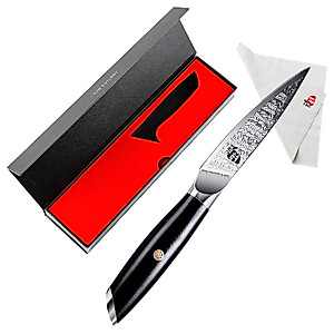 TUO Cleaver Knife, 6.5 inch Meat Cleaver Knife, Vegetable Cleaver Razor Sharp, Nakiri Knife Forged AUS-8 Japanese Stainless Steel, G10 Handle with Gift Box, Falcon S Series