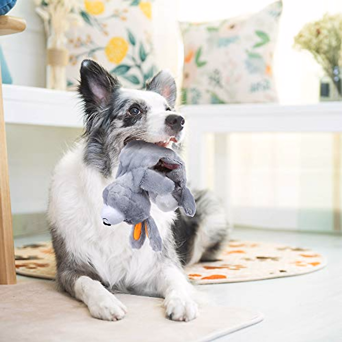 Nocciola 10 PCS Crinkle Dog Squeaky Toys with Double Layer Reinforced Fabric, Durable Plush Dog Toys, No Stuffing Body Dog Toy Set for Small to Large Dogs (10PCS 90 squeakers)