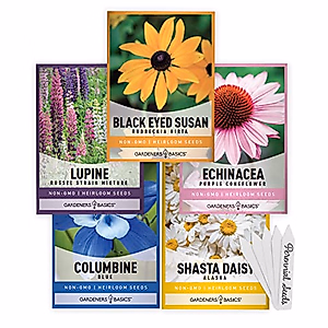 Perennial Flower Seeds for Planting Outdoors (5 Variety Pack) Lupine, Columbine, Echinacea Purple Coneflower, Black Eyed Susan, Shasta Daisy for Pollinators Wildflower Seed by Gardeners Basics