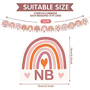 13 Pcs Rainbow First Birthday Photo Supplies Rainbow Baby Monthly Milestone Photo Banner Pink Garland from Newborn to 12 Months for Boho Birthday Party Supplies Photo Booth Props Decor