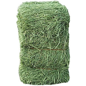 Bunny Honey Timothy Hay for Pets - Premium Quality All-Natural Feed for Rabbits, Guinea Pigs, and Chinchillas (Timothy5LB)