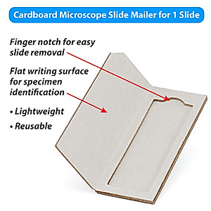 Globe Scientific 513001 Cardboard Slide Mailer for 1 Slide (Case of 100)