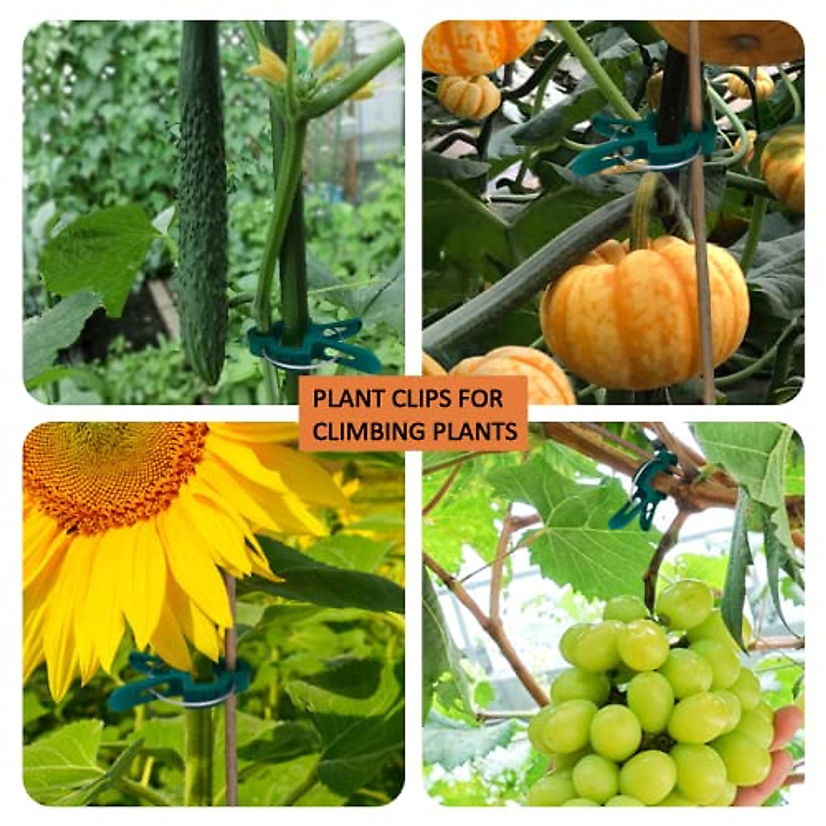 Heyfurni Metal Obelisk Trellis & Plant Clips,Garden Trellis for Climbing Plants,Plant Support for Cucumbers,Rose,Tomato,Vines,Vegetables Trellis Cage Indoor & Outdoor,40pcs Garden Clips