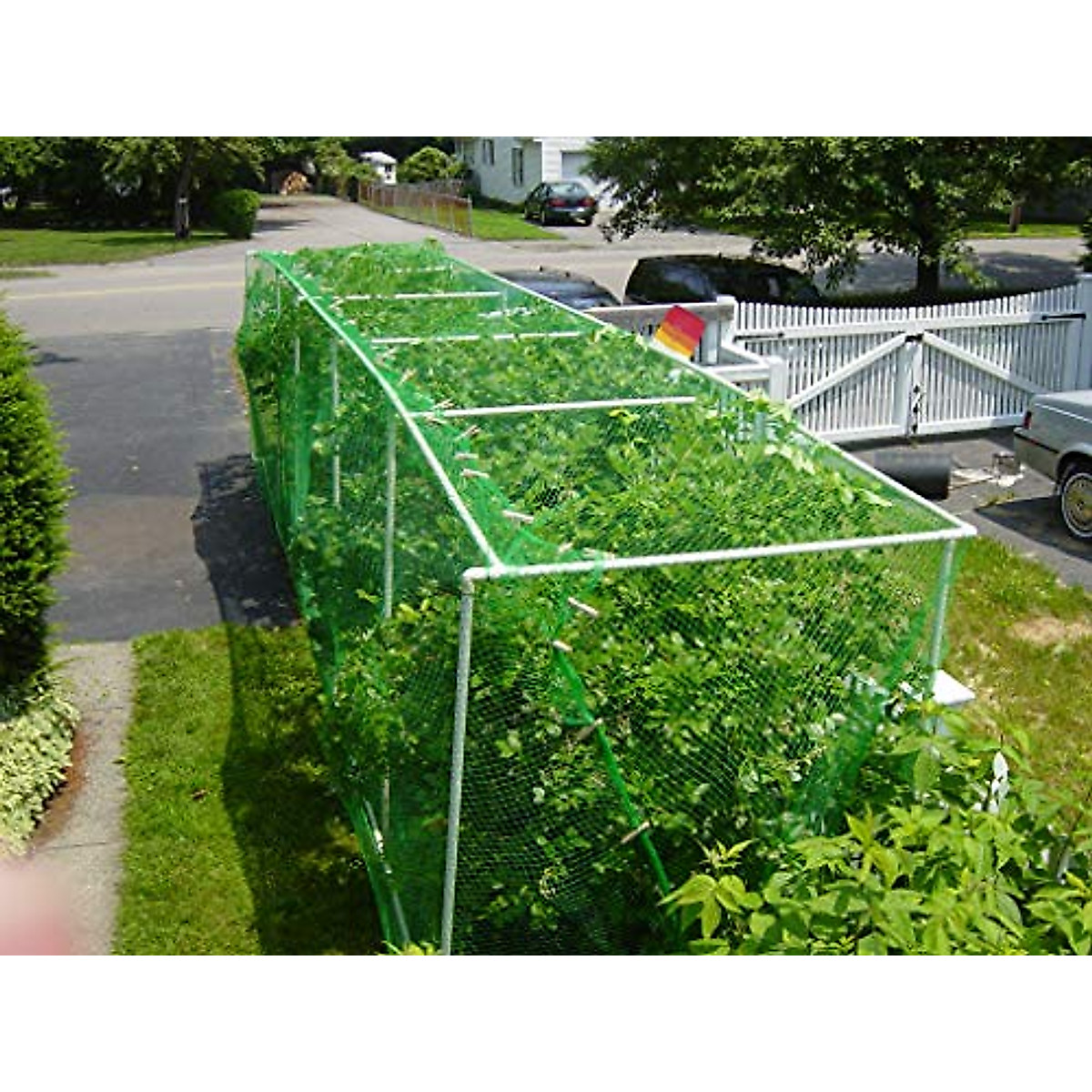 HSelar Best Bird Netting - Protect Plants and Fruit Trees from Birds and Wildlife – 13.12Ft x 49.2Ft Bird Netting with 50 Pcs Nylon Cable Ties - Reusable Instantly (Large Size)