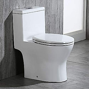 WOODBRIDGEE T-0031 Short Compact Tiny Dual Flush 1.28 GP One Piece Toilet with Soft Closing Seat,1000 Gram MaP Flushing Score Small Toilet,White