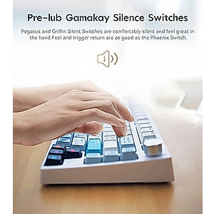 GK GAMAKAY TK75 75% Mute Mechanical Keyboard with Knob Control, Hot Swap RGB Bluetooth 5.0/2.4GHz Wireless/USB-C Wired PBT Cherry Profile Keycaps Silent Gaming Keyboard (GamaKay Pegasus Switch)