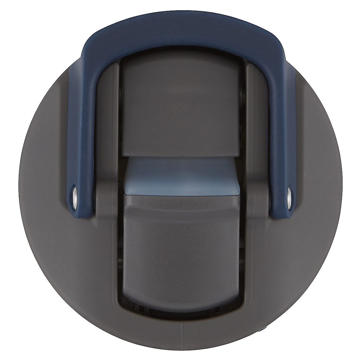 Contigo Ashland Chill 24oz Stainless Steel Water Bottle with Leakproof Lid & Straw, Smart Temperature Technology Keeps Beverages Hot and Cold, Ideal for Travel, Work, School - Silver Finish