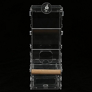 No Mess Acrylic Pet Parrots Birds Feeder with Perch Cage Automatic Food Feeder Cage Toy Parakeet Seed Food Container(L Single Type)