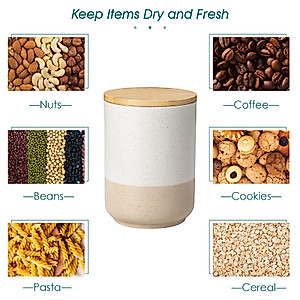 vancasso Sabine Canister Sets for Kitchen Counter, Ceramic Food Storage Jars with Airtight Wood Lids, Large Kitchen Canisters for Coffee, Sugar, Tea, Flour, Spice (Set of 3)