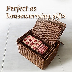 WeeNest Baskets with Lids, Wicker Storage Baskets with Lids, Shelf Baskets for Organizing, Baskets with Lids for Organizing, Wicker Decorative Basket, Resin Wicker Set of 3, Toffee