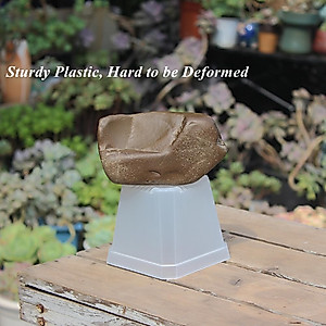 BangQiao 30 Pack Small 3.90 Inch Plastic Square Nursery Pot, Plant Starting and Transplant Planter Container with Drainage Hole for Seed Germination, Clear