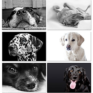 Small World Greetings Dog Note Cards 24 Count - Blank Inside with Envelopes - A2 Size 5.5" x 4.25" - All Occasions - Birthday, Thank You, and More