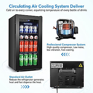 Tylza Mini Beverage Cooler Refrigerator Freestanding, 130 Cans Beverage Fridge with Glass Door for Beer Soda and Wine, Small Drink Fridge for Office or Bar with Adjustable Removable Shelves