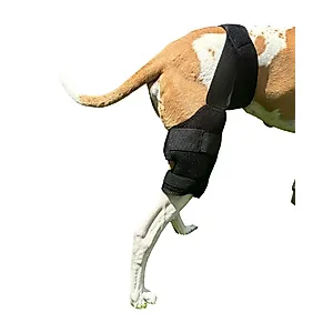 Labra Dog Canine K9 Hot Cold Ice Heat Therapy Knee Wrap for ACL MCL CCL Patella Injuries Sprain Strain Arthritis Senior Dog