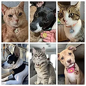 MYXGY Stainless Steel Pet ID Tag, Personalized Dog Name Tags, Customized Cat Tags, Deep Laser Engraving, Optional Engraved on Both Sides, Various Design Options