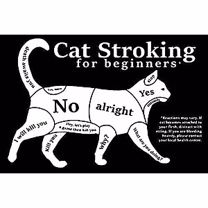 Cat Bathroom Cat Petting Beginner Black and White Cat Art Wall Decor Poster Tin Sign Iron Painting Vintage Metal Tin Sign Vintage Home Bedroom Kitchen Sign Garden Patio Wall Decor 8X12 Inch