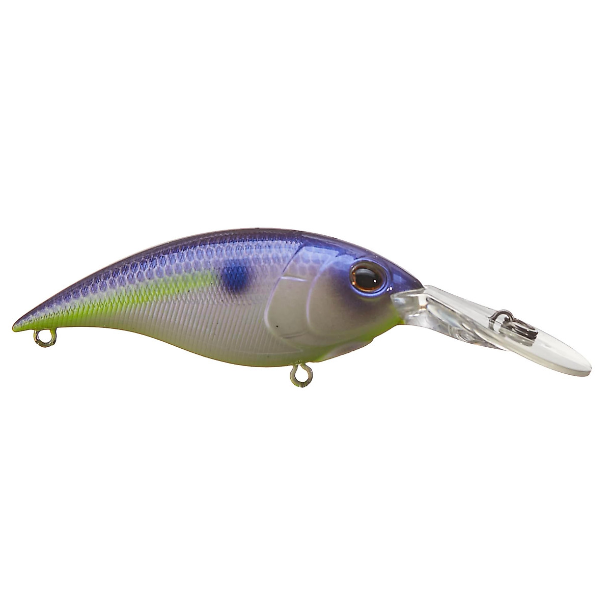 Berkley Money Badger Fishing Lure, Spring Craw, 1/3 oz, 2.5in | 6.25cm, Hybrid Baitfish-Crayfish Design, Patented FlashDisc Technology, Equipped with Sharp Fusion19 Hooks