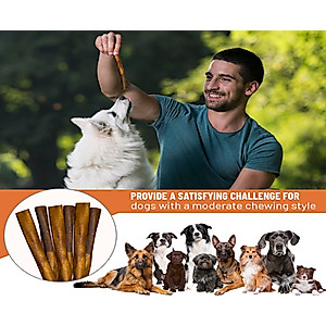 PETSamba 12 Inch Beef Collagen Sticks [12-Pack] – Collagen Bully Sticks for Dogs – All Natural – Highly Digestible