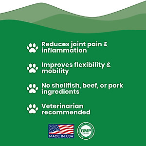 All-Natural Joint Pain Relief for Dogs - Vegetarian Glucosamine Without Shellfish - Msm Supplement for Pain - Vet Recommended Glucosamine Vegetarian - Arthritis Medicine & Glucosamine with Msm (32 oz)