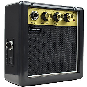 Bunnel Mini Violin Amplifier