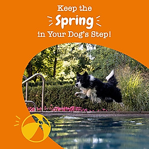 Mobility Bites for Dogs, Hip and Joint, All Ages, Duck, 90 Soft Chews, 12.7 oz (360 g), Zesty Paws Discontinued Listing DO NOT Buy