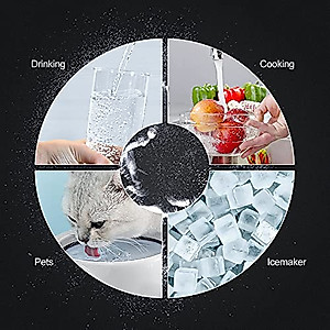 Wingsol Jumbo Under Sink Water Filter Replacement, Reduce 99.99% Lead, Arsenic, Chlorine, Remineralize & Alkalize Water, 10K Gallons Long-lasting, 5-in-1, Compatible with WS-US-001 Jumbo advanced (F)