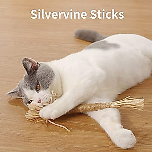 PAZ'S GIFT Catnip Toy Cat Toys Catnip Toy cat chew Toy cat Kicking silvervine Stick Teeth Cleaning Cute Kitten Teething Indoor Interactivecat Dental Care