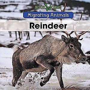 Reindeer (Migrating Animals)